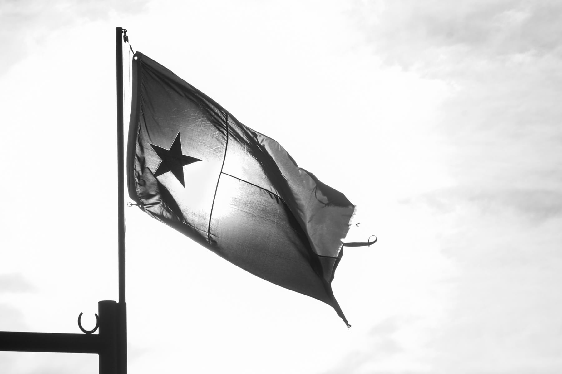 Tyler TX Bold Real Estate tyler-tx-bold-real-estate